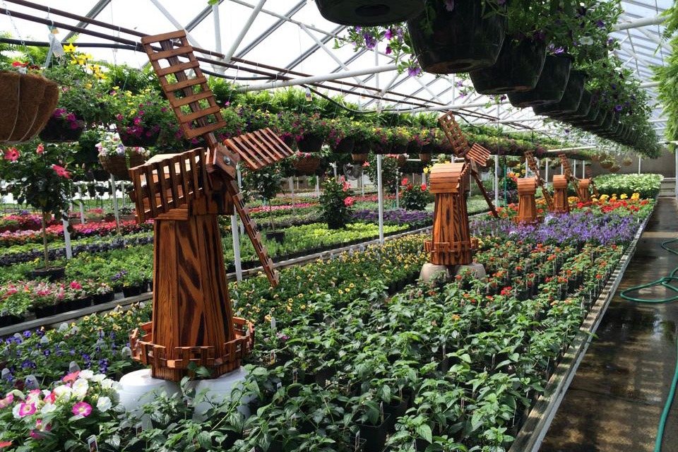 Insect Netting For Garden Yardwe 100pcs Rose Flower Netting Covers ...